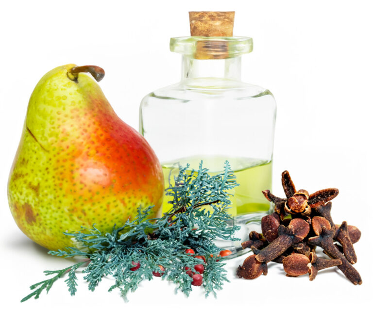 Spicy fruit | 24 Flavour synergies between fruits, spicy ingredients ...